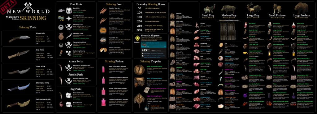 New World Guides & Infographics – New World MMO