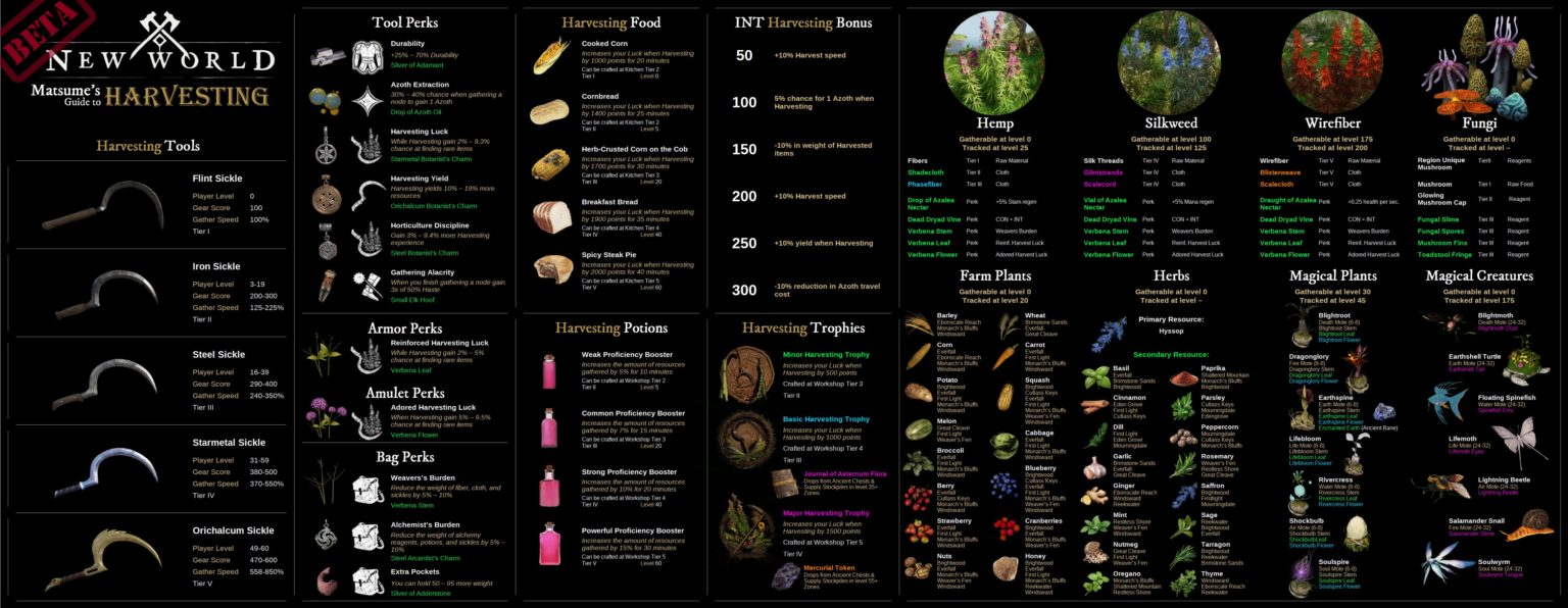 New World Guides & Infographics – New World MMO
